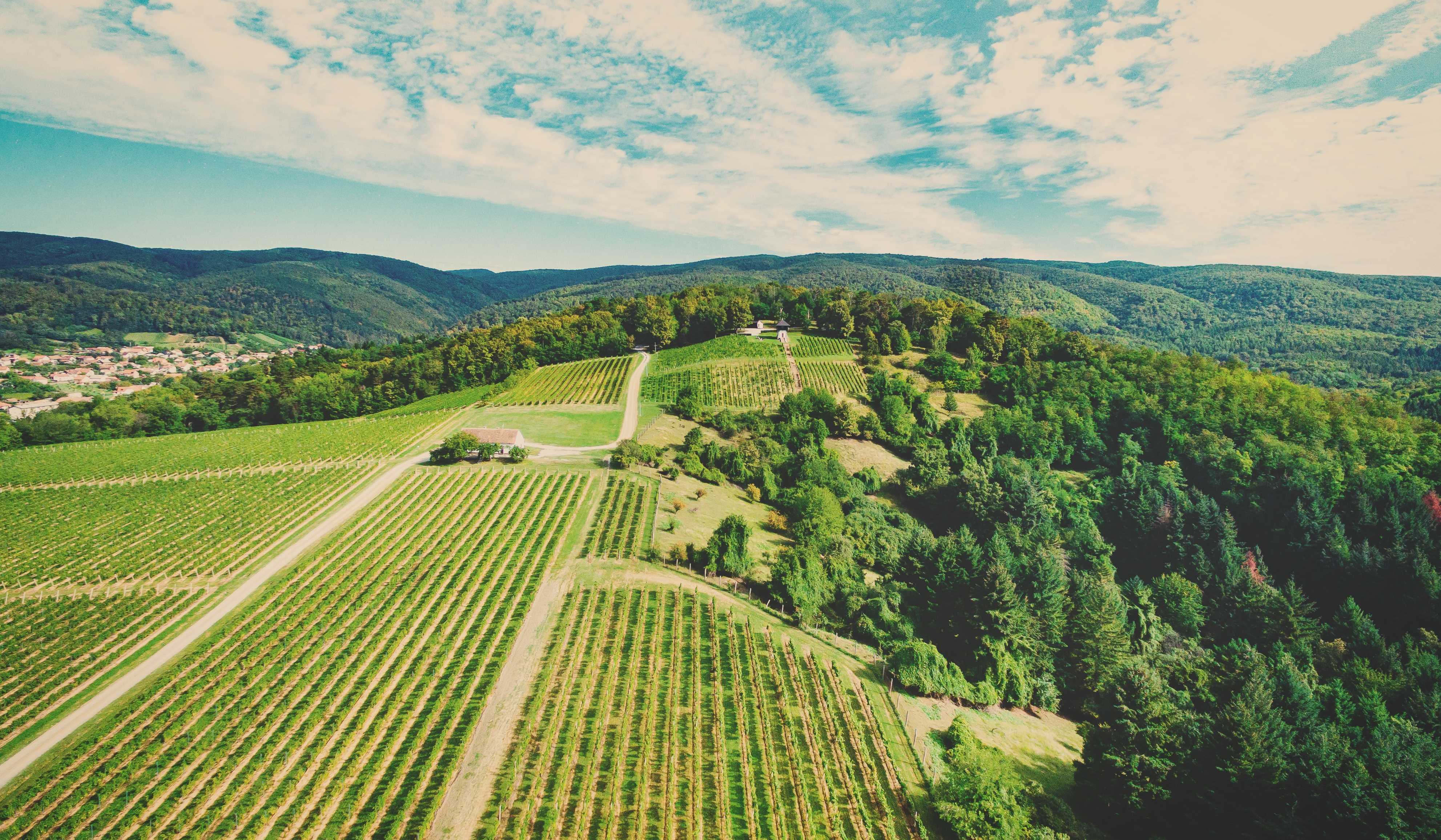 Visit Kutjevo | Kutjevo